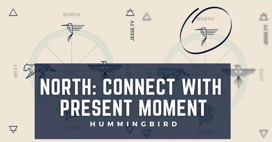 How the Shamanic Medicine Wheel Works - Jesse.TV